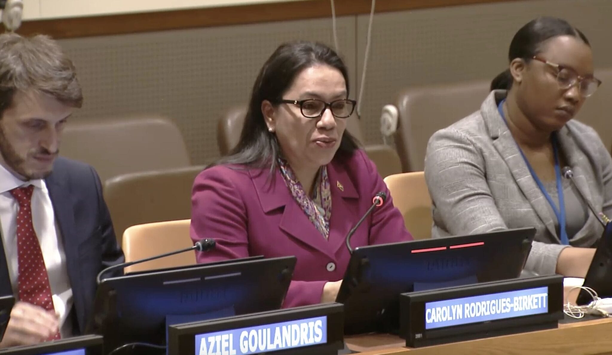 UN Security Council 2025 Election Briefing • WFUNA